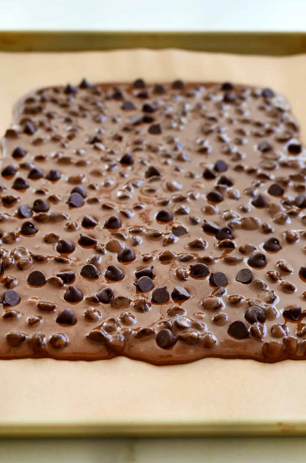 Chewy Chocolate Brownie Bark - Just a Taste