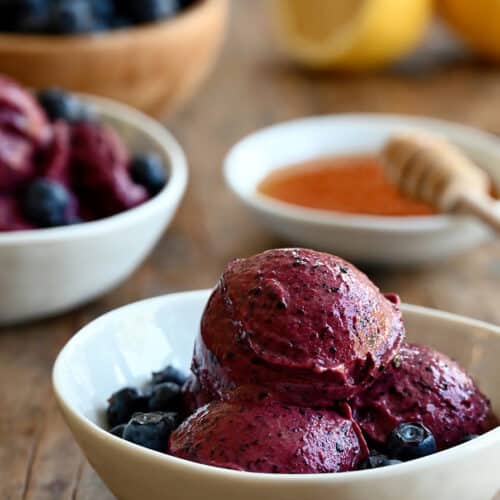 Blueberry frozen yogurt store