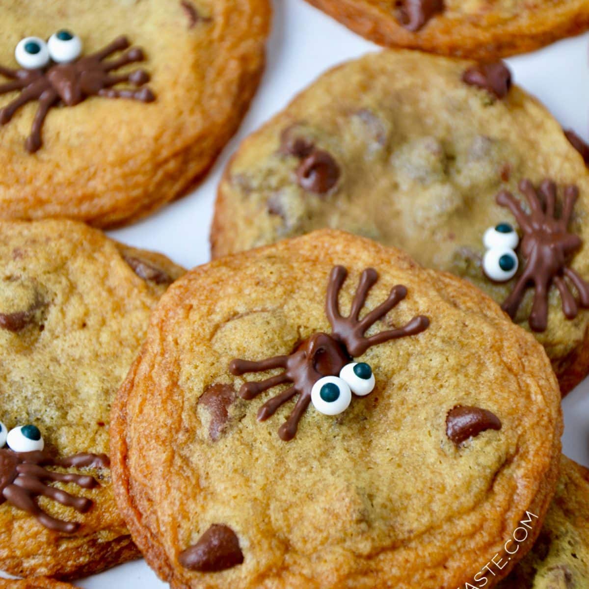 Halloween Recipes - Just a Taste
