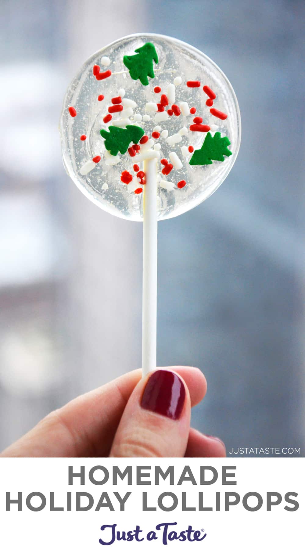 Easy Homemade Lollipops - Just a Taste