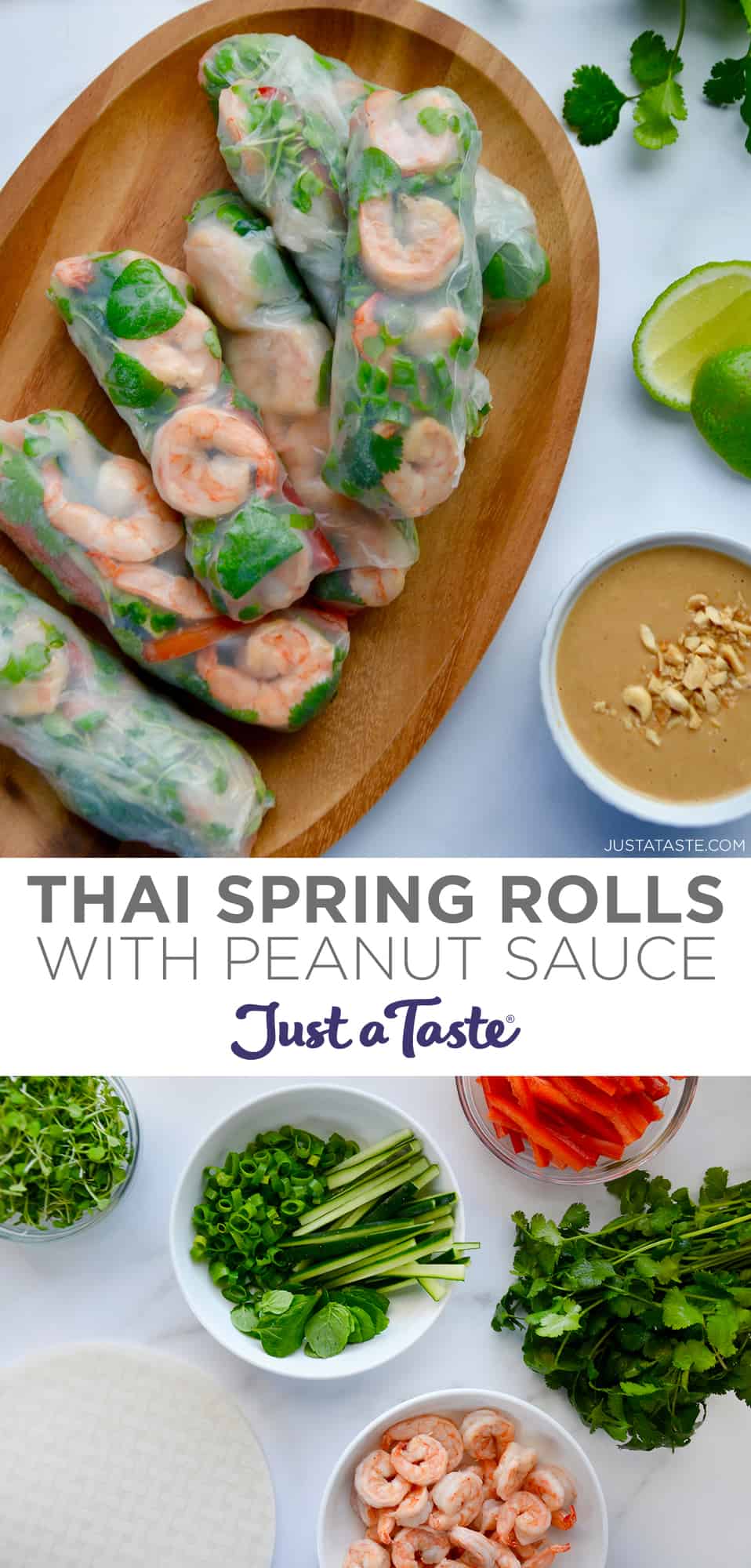 Thai Spring Rolls with Peanut Sauce - Just a Taste