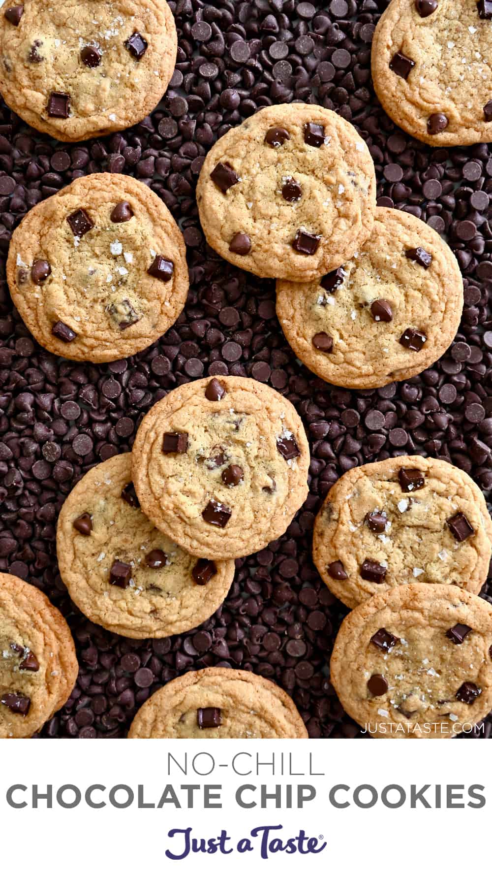 Best Chewy Chocolate Chip Cookies - Just a Taste