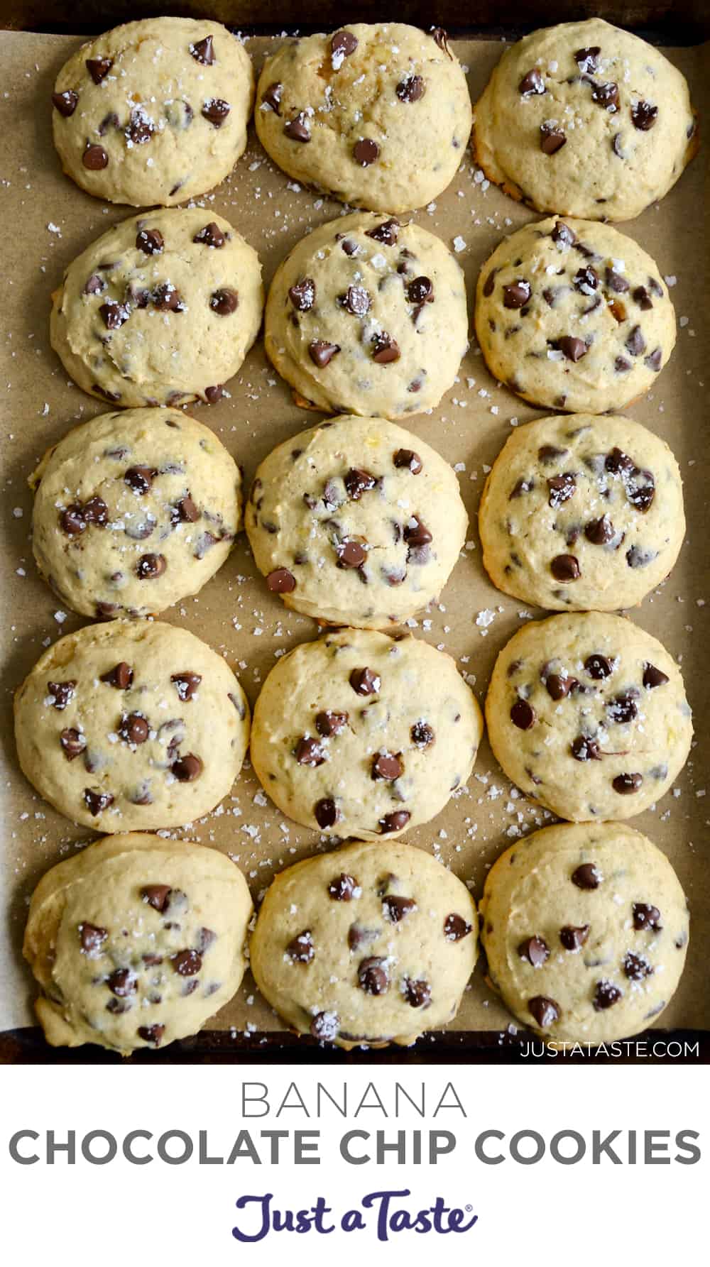 Banana Chocolate Chip Cookies