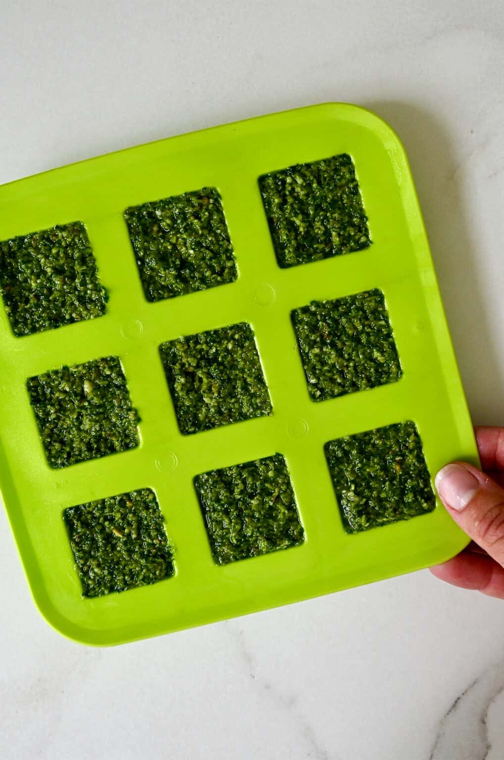 Easy Basil Pesto Recipe (How to Make & Freeze It!)